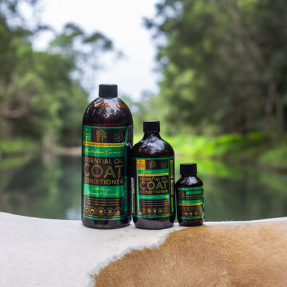 Scratch and Dent Essential Oil Coat Conditioner - Australian Summer ...