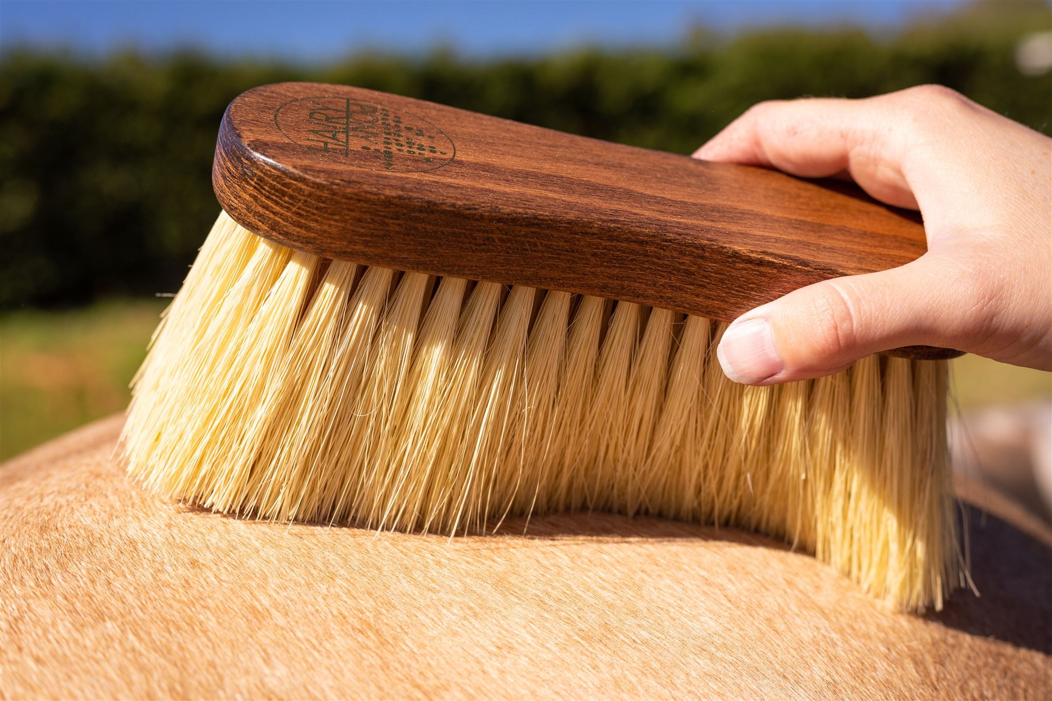 Hairy Pony Flick Brush - Hairy Pony