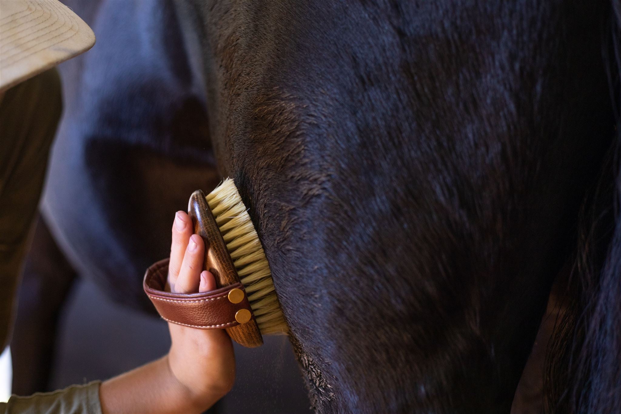 Hairy Pony Horse Mud Brush - Hairy Pony