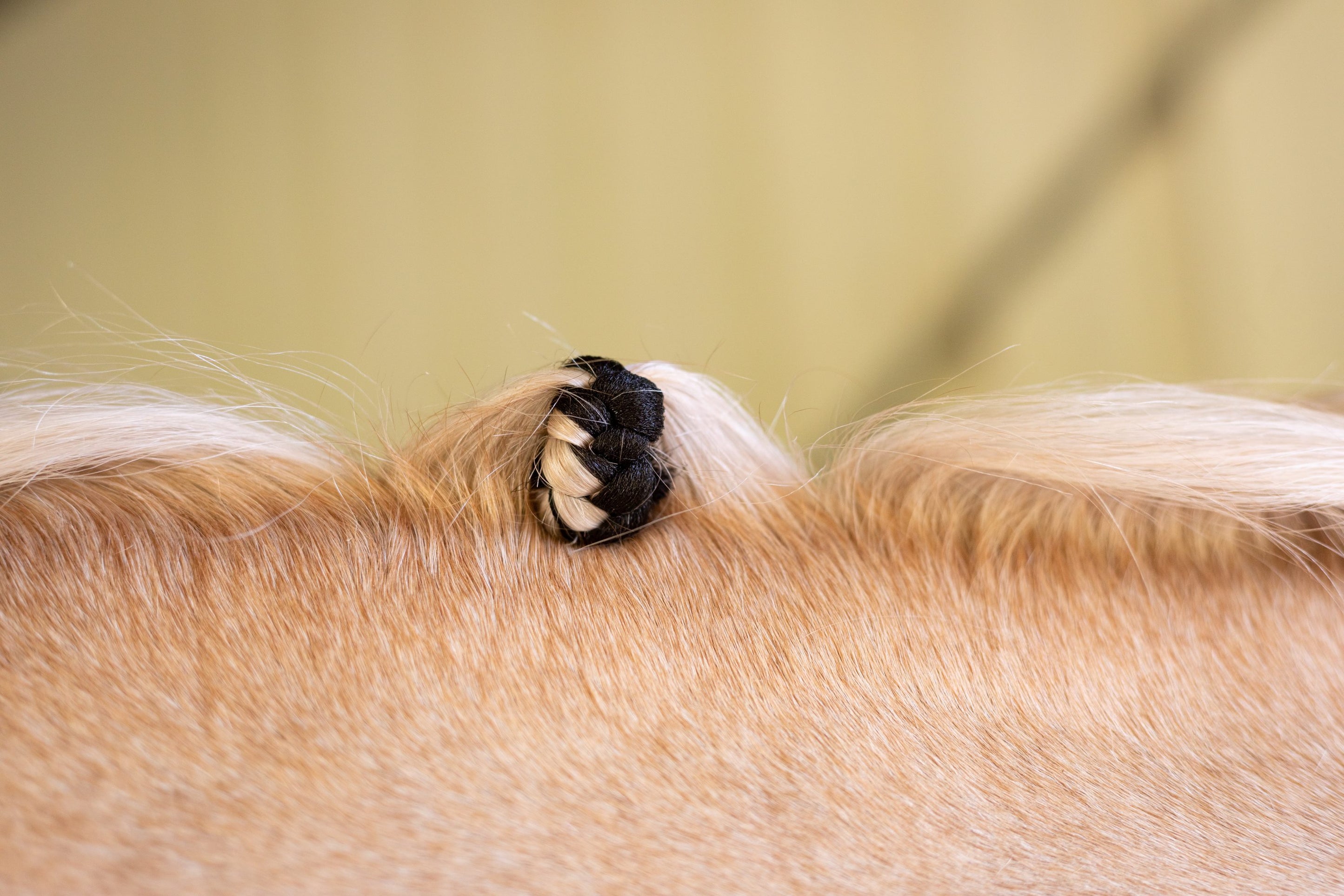 Hairy Pony Fake It Horse Mane Hair Extensions - Hairy Pony