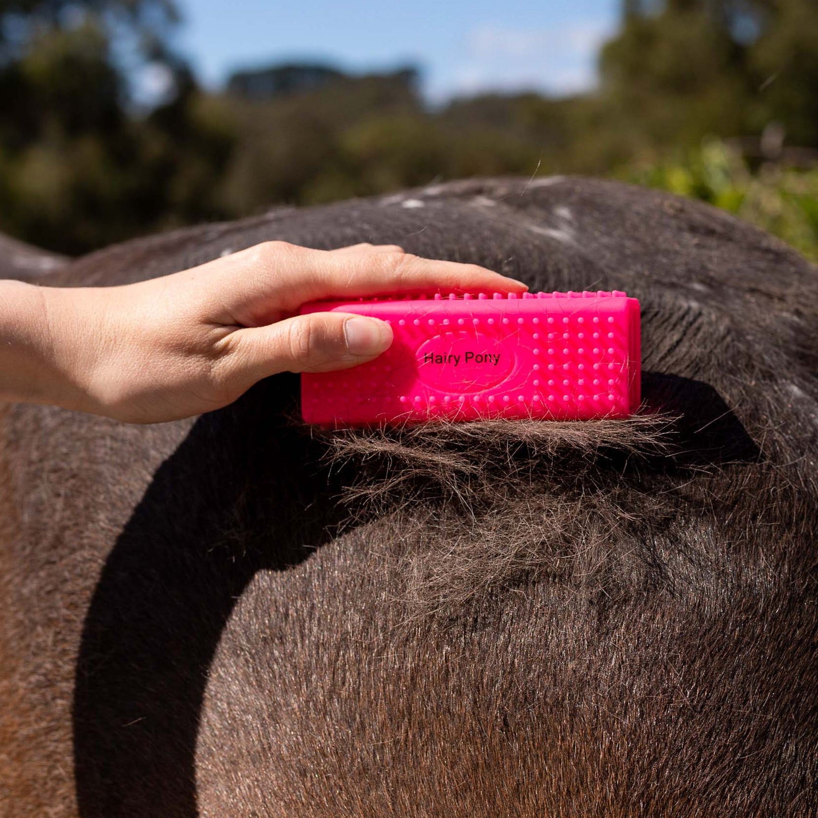 Horse Grooming Block - Hairy Pony